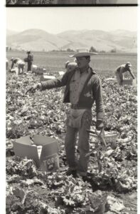 Bracero Program 1942-64 – Chicano History and Culture